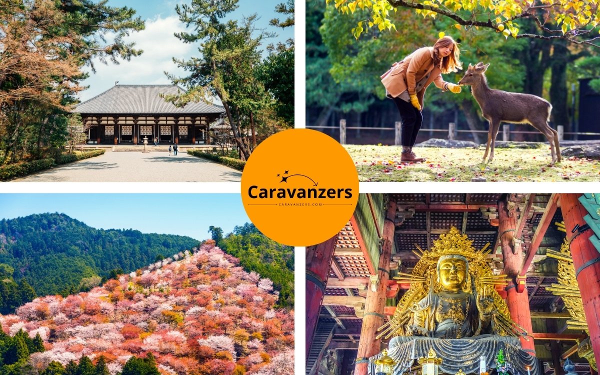 Nara Travel - Ultimate Guide to Japan’s Ancient Capital